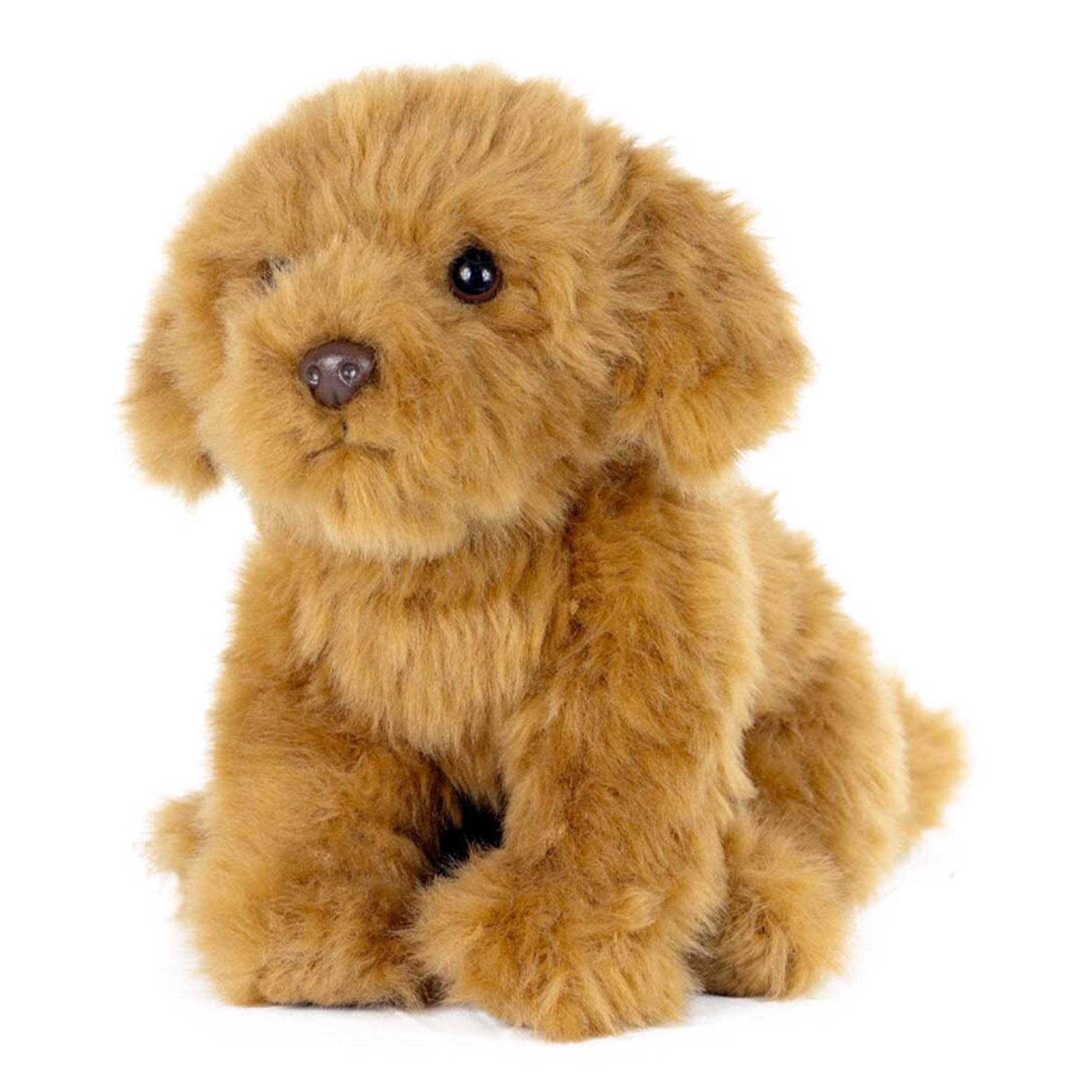 AN631 Cavapoo 20cm – Happy Orange Oy